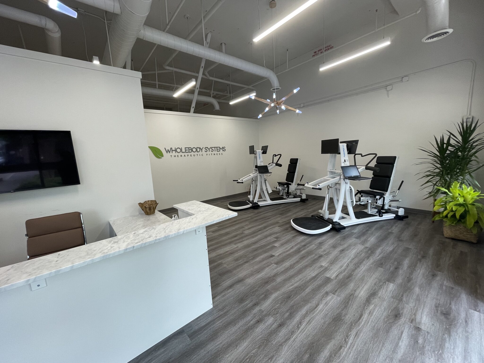 Bone Density - Smyrna - Wholebody Systems